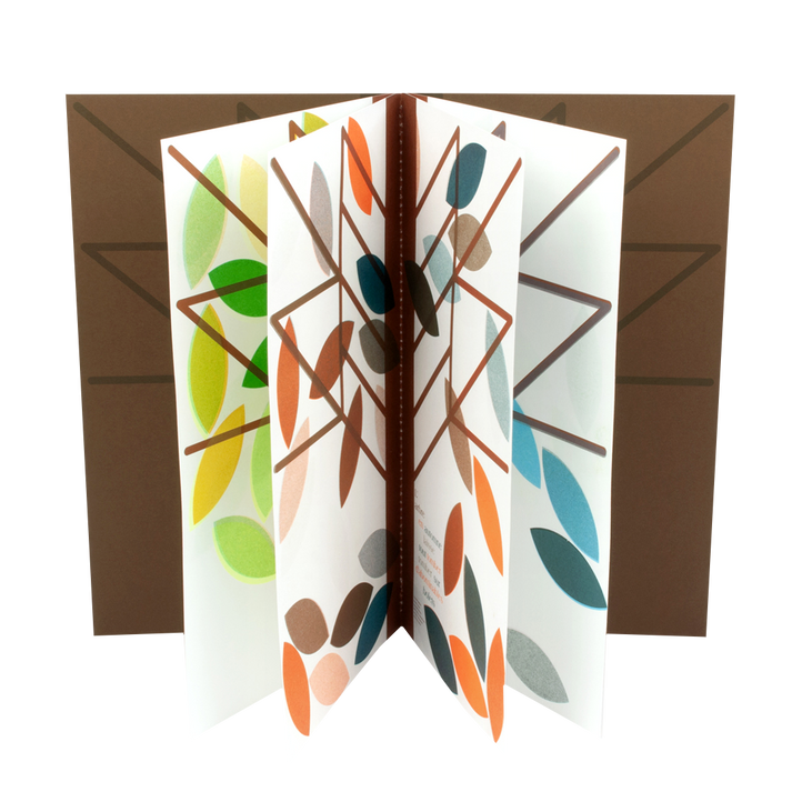 Librairie Riso – Quintal